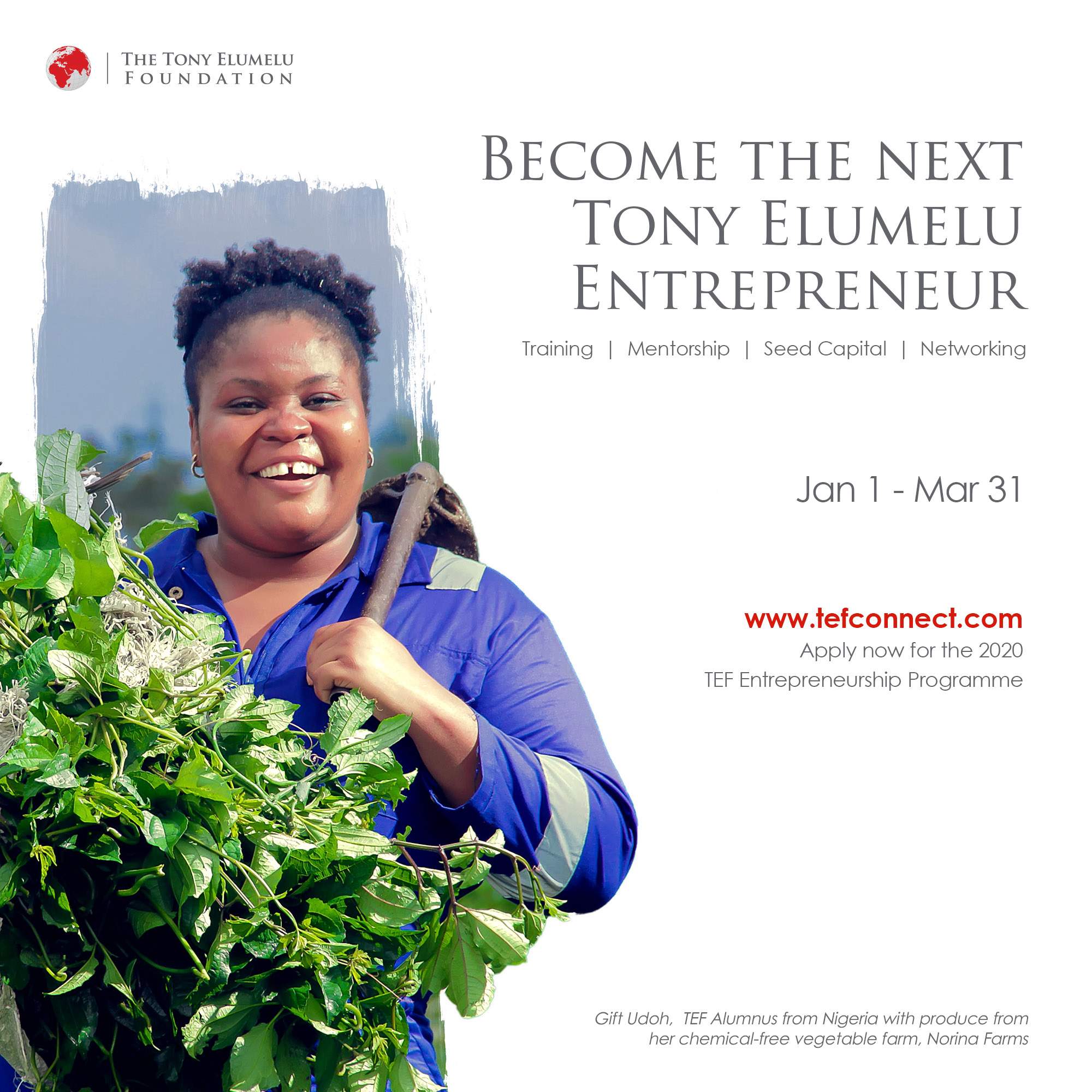 How To Apply For The 2020 Tony Elumelu Foundation Entrepreneurship Programme