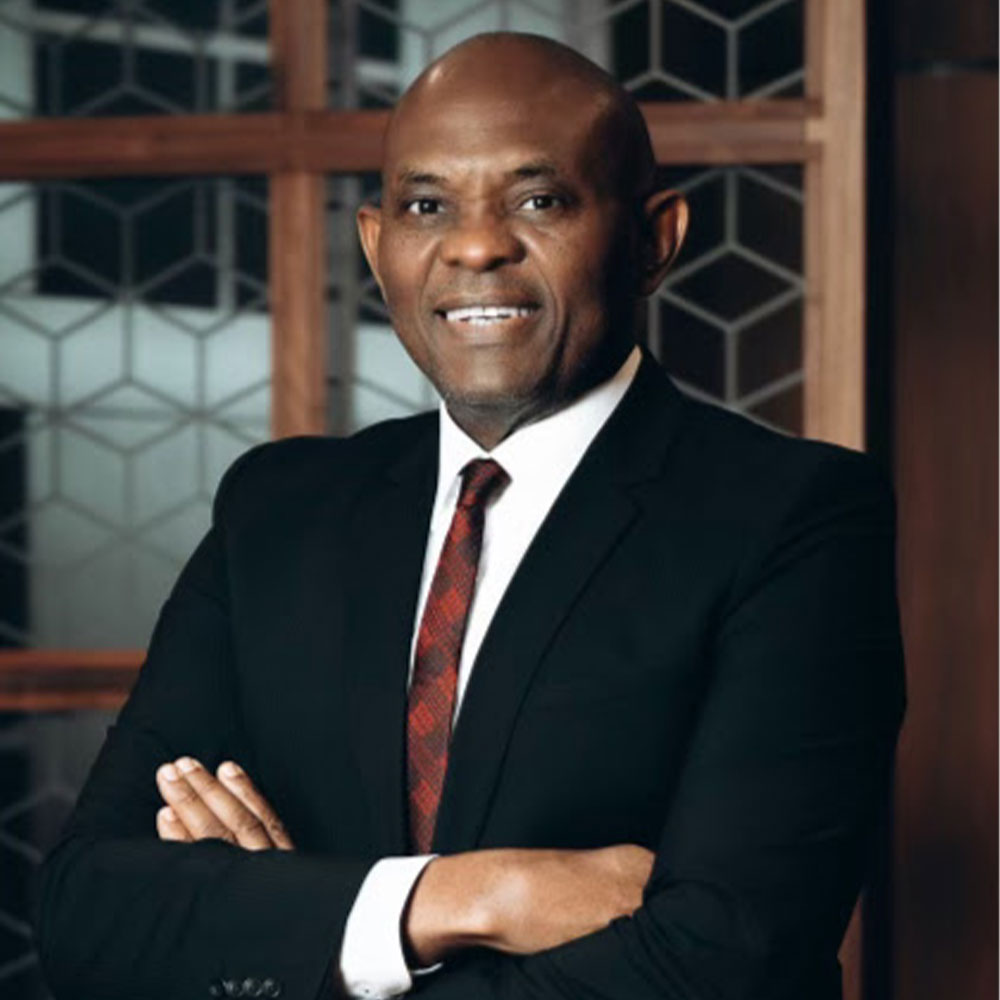 The Tony Elumelu Foundation - Africa's leading philanthropic institution